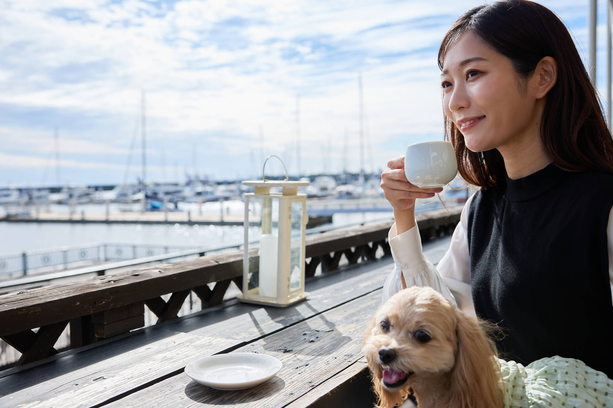 伊豆のドッグカフェ特集！おすすめのペットOK施設9選【最新2024年】｜Lutie（ルティエ）