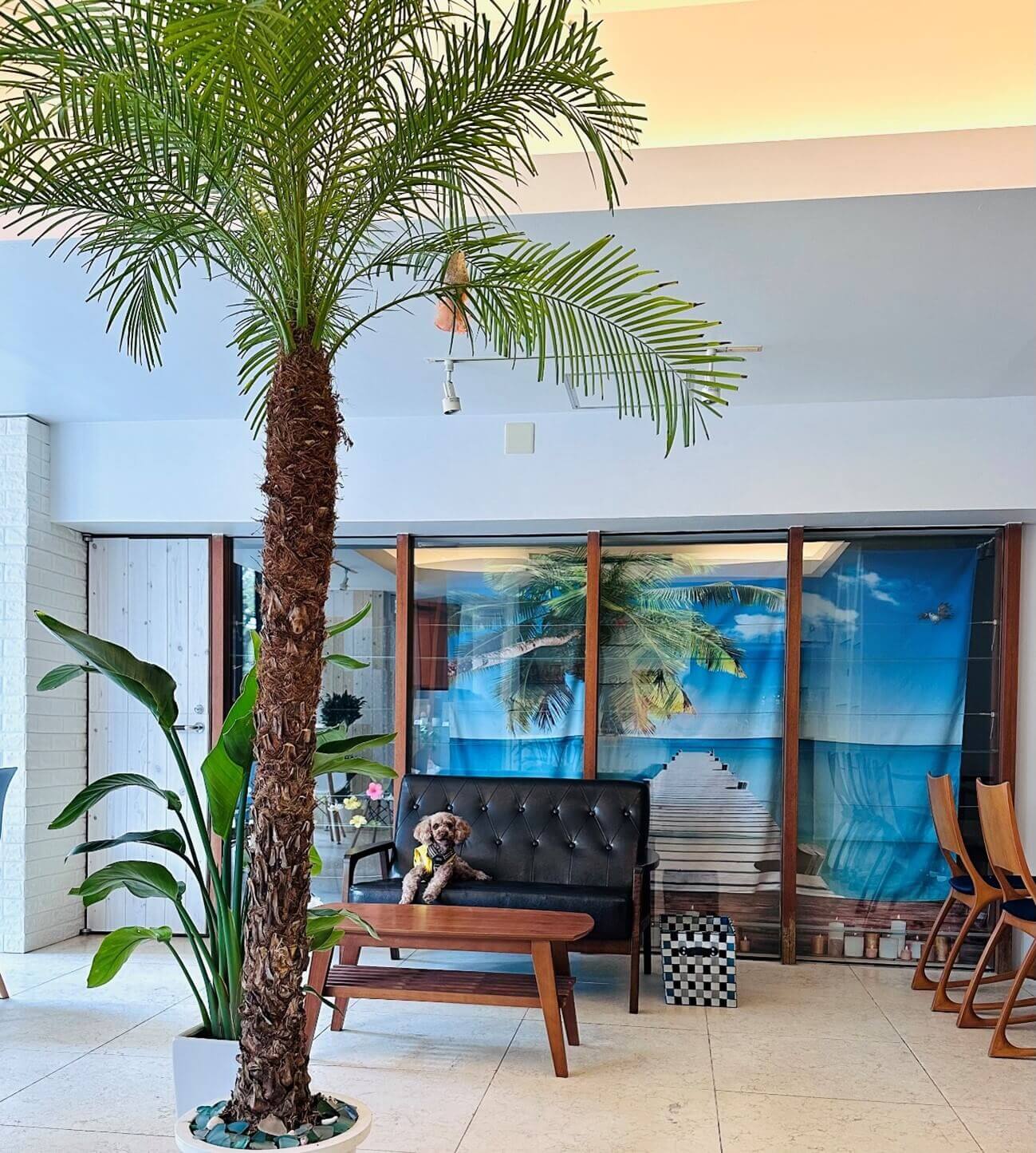 鹿児島のドッグカフェ特集！ペットOK施設人気ランキング【2023年】